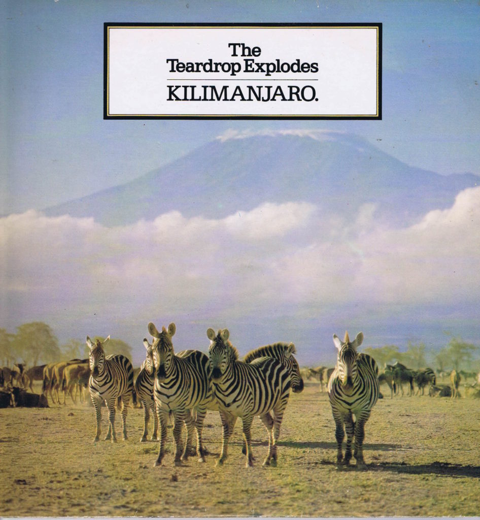 The Teardrop Explodes - Kilimanjaro | Rocklab.it
